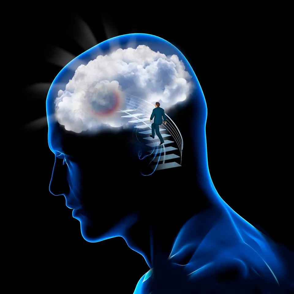 Why Mindset Matters in the Fitness Journey – FitBody Fusion